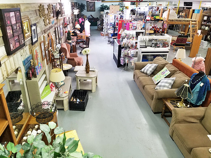 Step into a wonderland where one person's castoffs become another's treasures. It's like your grandma's attic had a growth spurt!