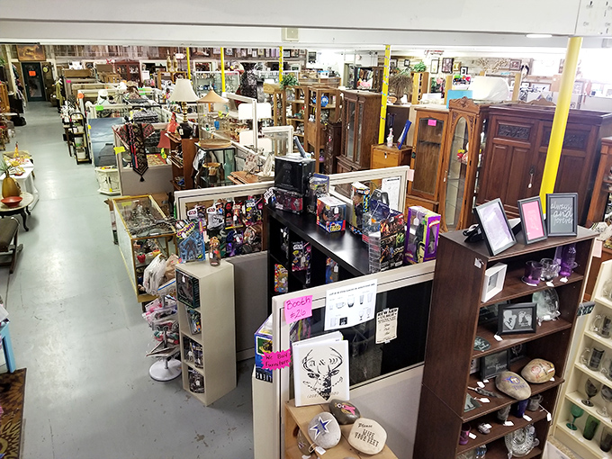 Step into a wonderland where one person's castoffs become another's treasures. It's like your grandma's attic had a growth spurt!