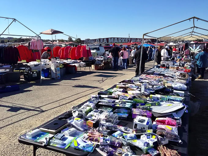 Welcome to bargain hunter's paradise! The Awesome Flea Market sprawls before you like a treasure map come to life, promising adventures in every aisle.