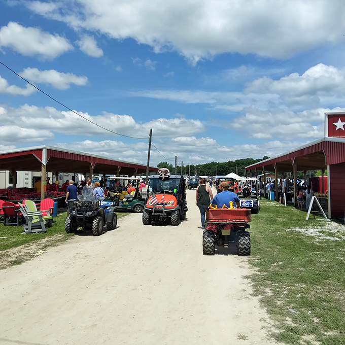 Welcome to Rutledge, where treasure hunting is an Olympic sport! This sprawling flea market is a bargain-seeker's paradise, stretching as far as the eye can see.