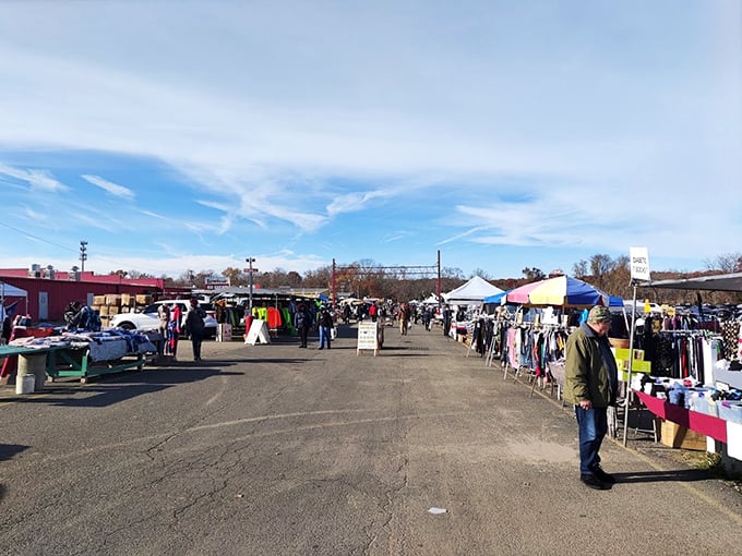 Step right up to the bargain bonanza! This flea market's got more treasures than Indiana Jones' wildest dreams.