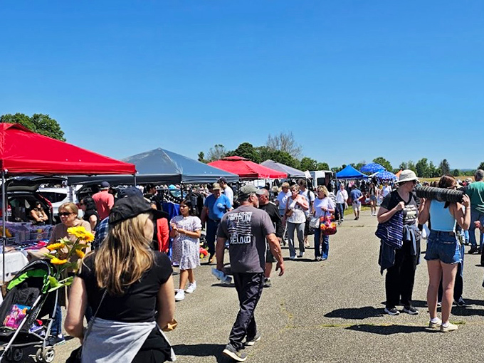 Welcome to the treasure hunter's paradise! Stormville's flea market is where bargain dreams come true and wallets tremble with excitement.