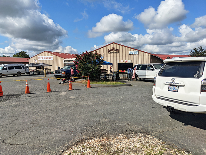 Welcome to the treasure hunter's playground! Miller's Flea Market sprawls before you, promising adventures in bargain hunting and potential tetanus shots.