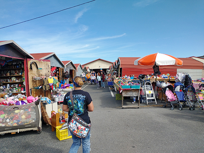 Step right up to bargain heaven! This colorful maze of stalls is like a real-life treasure map, where X marks the spot for your next great find.