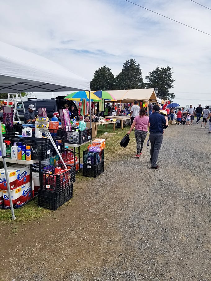 A treasure hunter's paradise! Rows of tents and tables stretch as far as the eye can see, promising hidden gems and unexpected delights at every turn.