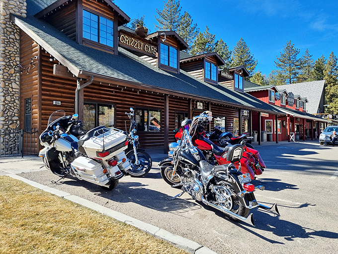 A log cabin that promises culinary adventures! The Grizzly Cafe stands tall among the pines, beckoning hungry travelers with its rustic charm and mouthwatering aromas.
