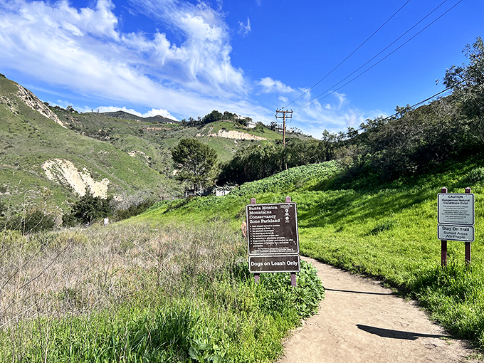 Welcome to nature's red carpet! The Escondido Falls Trail beckons with its sun-dappled path and promise of adventure. Who needs Hollywood when you've got this star-studded cast of flora?