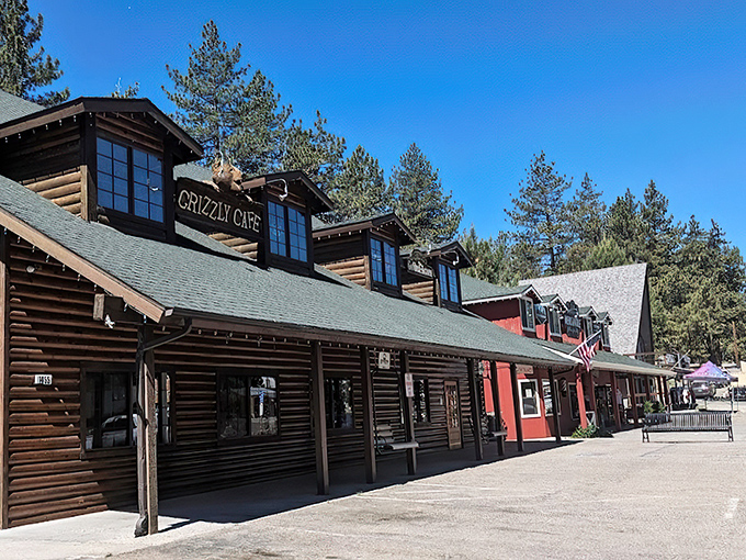 A log cabin that promises culinary adventures! The Grizzly Cafe stands tall among the pines, beckoning hungry travelers with its rustic charm and mouthwatering aromas.