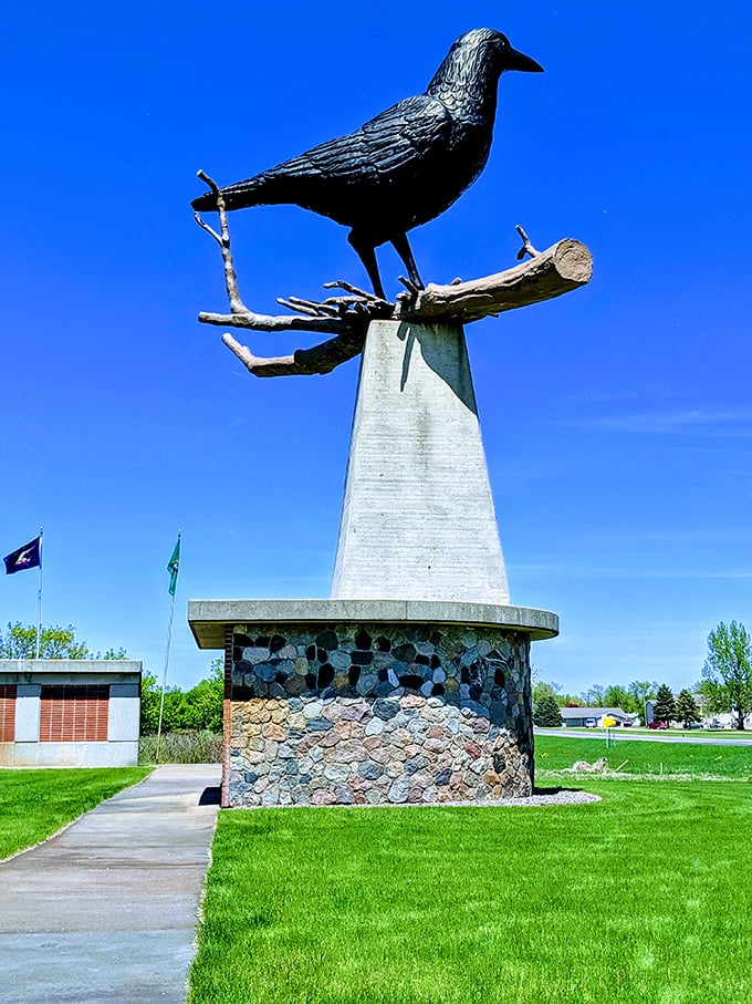 "Nevermore," quoth the raven? More like "Evermore," says Belgrade! This colossal corvid stands sentinel, a feathered giant against the azure Minnesota sky.