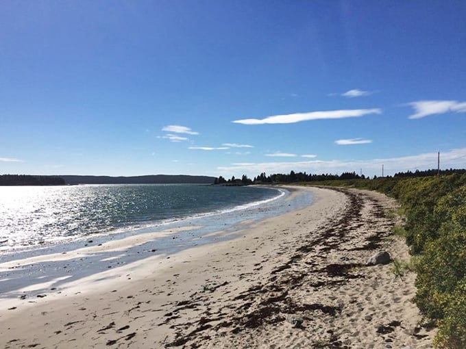Nature's own postcard! Roque Bluffs serves up a visual feast of tranquil waters and evergreen-lined shores. It's like Maine decided to show off all its best features in one frame.