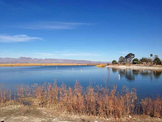 Nature's own light show! Roper Lake's view paints the sky in hues that would make even Bob Ross reach for his palette. A moment of pure Arizona magic.