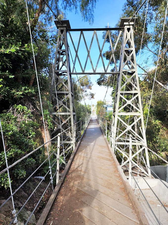 Walking on air? Not quite, but this suspension bridge comes pretty darn close! San Diego's hidden gem offers thrills and chills 70 feet up.