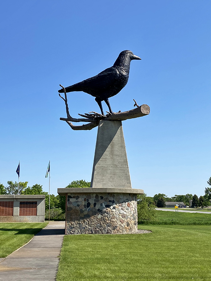 "Nevermore," quoth the raven? More like "Evermore," says Belgrade! This colossal corvid stands sentinel, a feathered giant against the azure Minnesota sky.