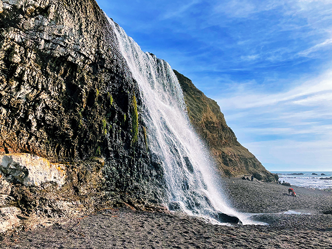 Nature's own infinity pool! Alamere Falls cascades directly onto the beach, creating a scene so stunning it'll make your Instagram followers weep with envy.