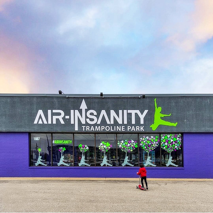 Welcome to Air Insanity, where gravity takes a vacation and your inner child comes out to play!