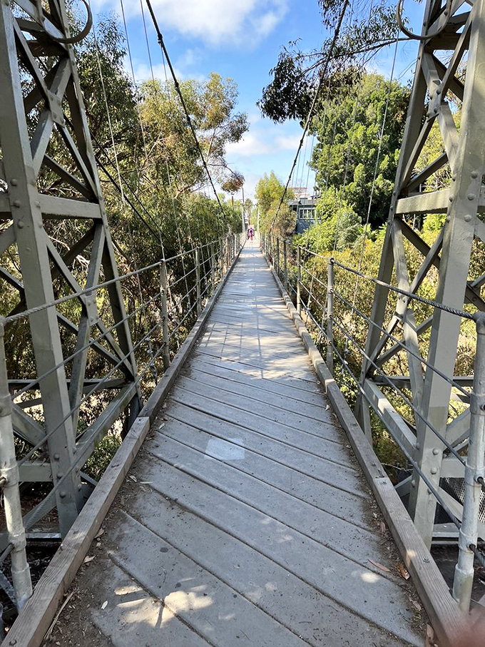 Walking on air? Not quite, but this suspension bridge comes pretty darn close! San Diego's hidden gem offers thrills and chills 70 feet up.