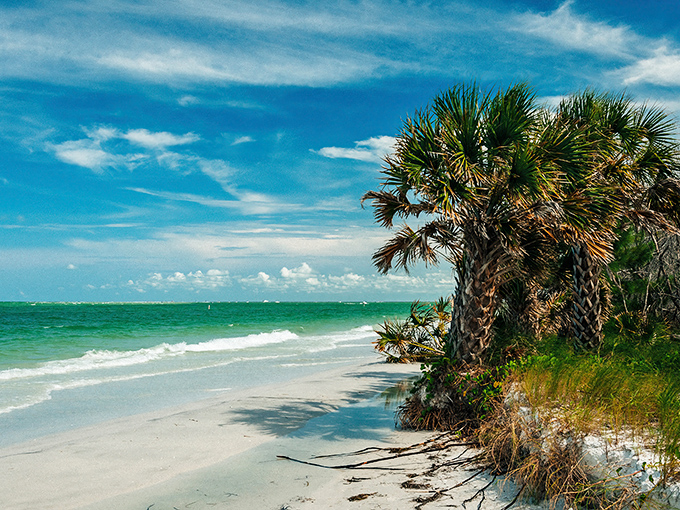 A bridge to paradise! This wooden walkway invites you to leave your worries behind and step into a postcard-perfect Florida beach scene.