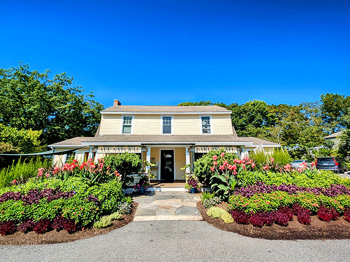 A yellow farmhouse turned bakery paradise? Beach Pea Baking Co. is where New England charm meets carb heaven. Prepare for a floral welcome and irresistible aromas!