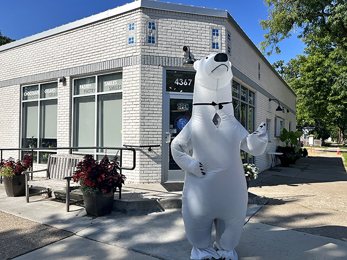 A sweet corner of Minneapolis! Dancing Bear Chocolate stands proudly at the intersection of 44th and Thomas, beckoning chocolate lovers with its charming brick facade and vibrant flower pots.
