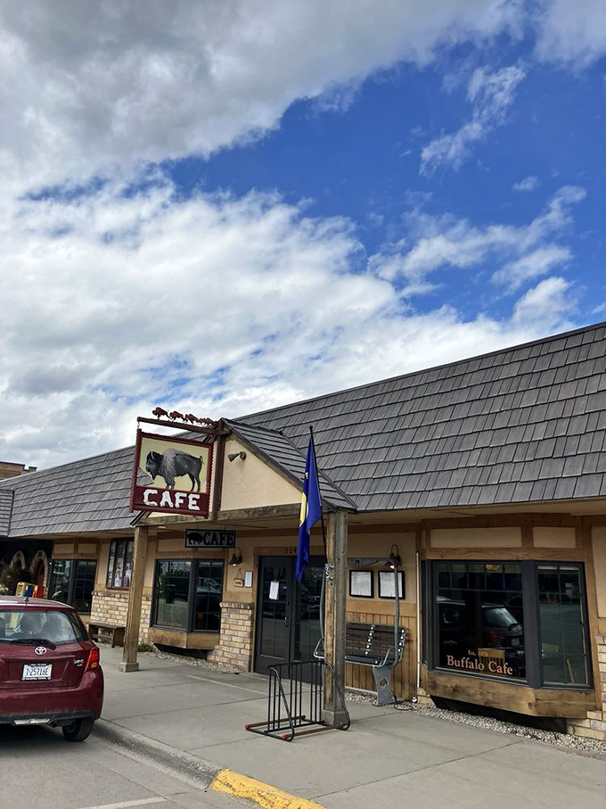 Welcome to buffalo paradise! This charming facade is like a time machine to the Old West, but with better coffee and fewer shootouts.