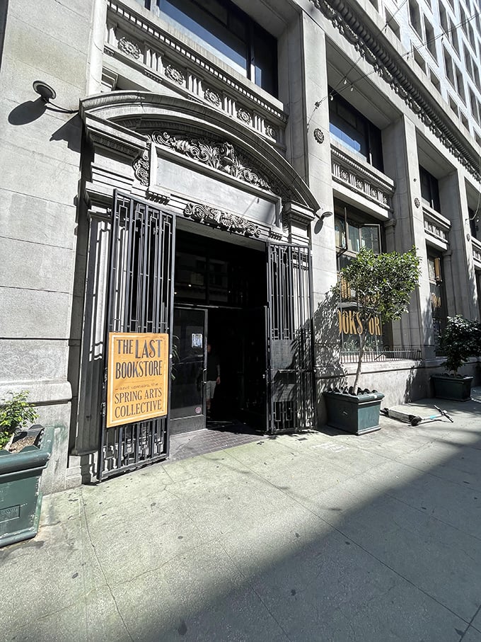 Grand entrance or time machine? Step through these doors and you might just find yourself in a bibliophile's version of Narnia.