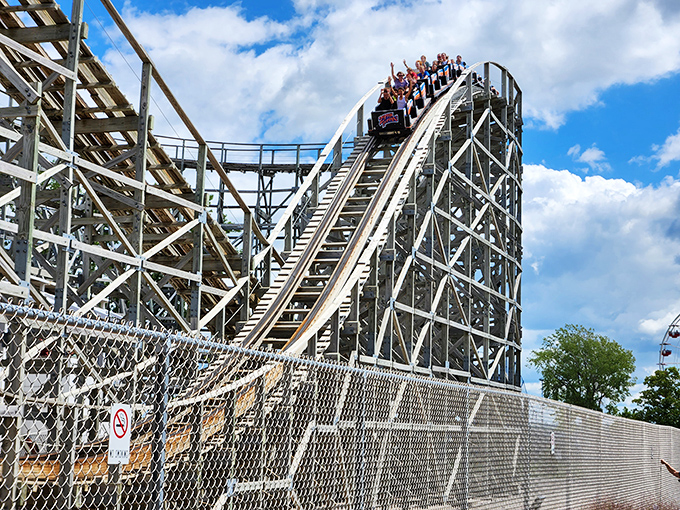 Gravity's playground awaits! The Zippin Pippin's wooden frame reaches skyward, promising thrills that'll make your heart sing and your hair stand on end.