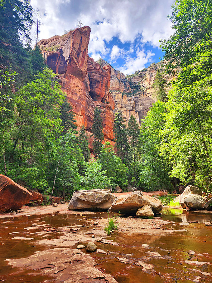 Nature's own IMAX theater! Towering red rocks frame a babbling creek, creating a scene so stunning it'll make your Instagram followers green with envy.