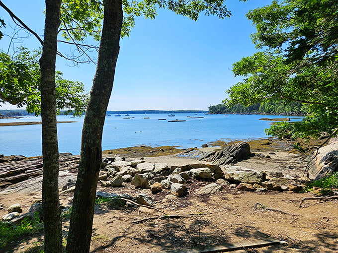 Nature's IMAX: Boothbay Harbor unfolds before you, a blockbuster view that puts Hollywood to shame. Grab some popcorn and settle in for the show!