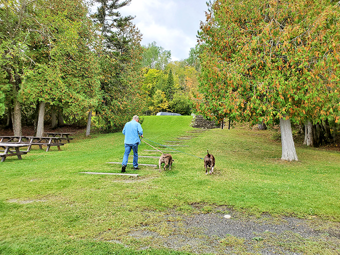 Who let the dogs out? At Aroostook State Park, apparently everyone! A slice of canine paradise where tails wag and humans smile.