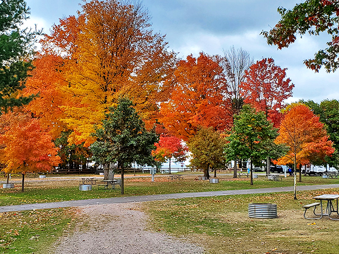 Nature's own fireworks display! Lakeport State Park's autumn colors paint a masterpiece that would make Bob Ross weep with joy. Who needs Netflix when you've got this view?