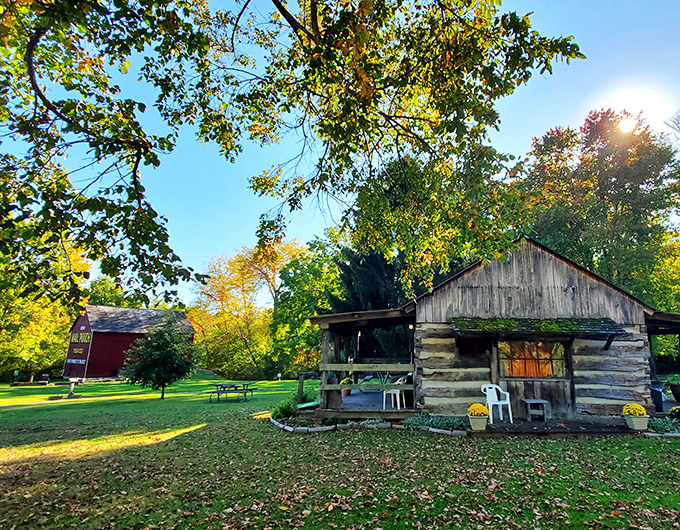 Welcome to nature's playground! Barkcamp State Park's log cabin and lush greenery invite you to leave the hustle behind and embrace your inner adventurer.