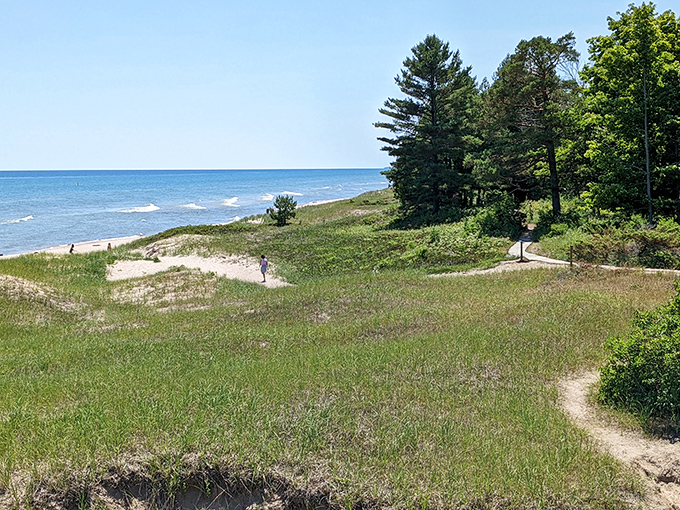 Nature's canvas unfolds: Where the forest meets the shore, Kohler-Andrae State Park paints a masterpiece of sand, sky, and endless blue horizon.