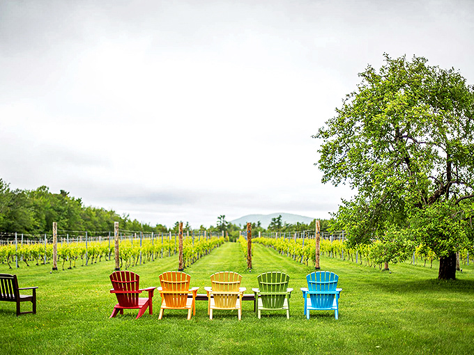 1. this gorgeous vineyard in maine will make you feel like you're in tuscany