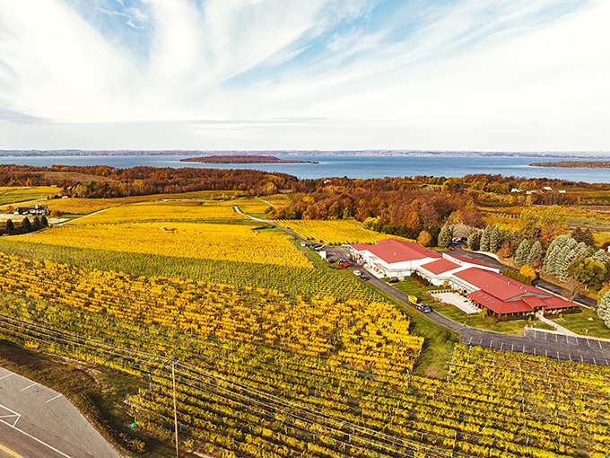 A postcard-perfect panorama: Rolling vineyards, crimson roofs, and the shimmering bay beyond. It's like Mother Nature decided to show off her best work.