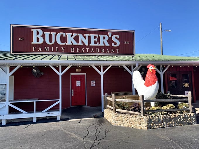 Welcome to chicken paradise! Buckner's Family Restaurant greets you with Southern charm and a giant rooster that's more than just eye candy.