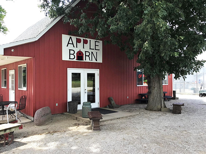 Welcome to apple paradise! The Apple Barn's iconic red exterior promises a cornucopia of orchard delights, with autumn's bounty spilling onto the porch.