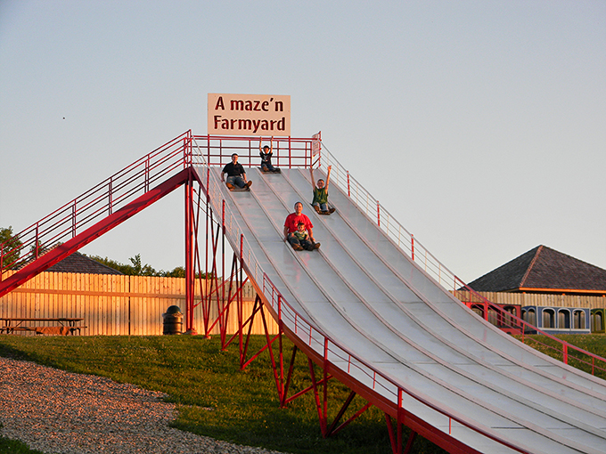 "Slide into farm life! This towering tube slide isn't your average barnyard feature - it's a thrill ride that'll make even city slickers squeal with delight."