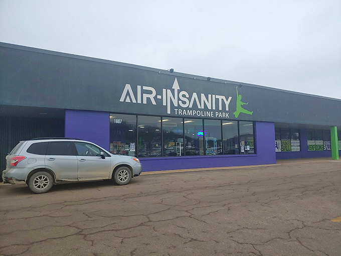 Welcome to Air Insanity, where gravity takes a vacation and your inner child comes out to play!