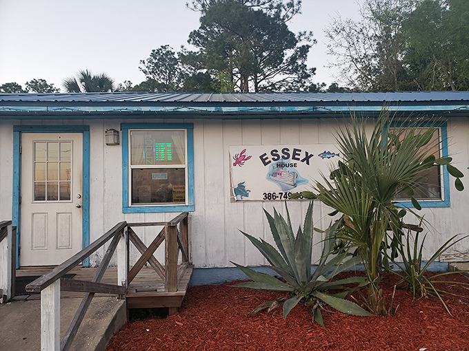 A slice of New England in the Sunshine State! Essex Seafood House's blue-trimmed exterior promises a seafood adventure that'll make you forget you're in Florida.