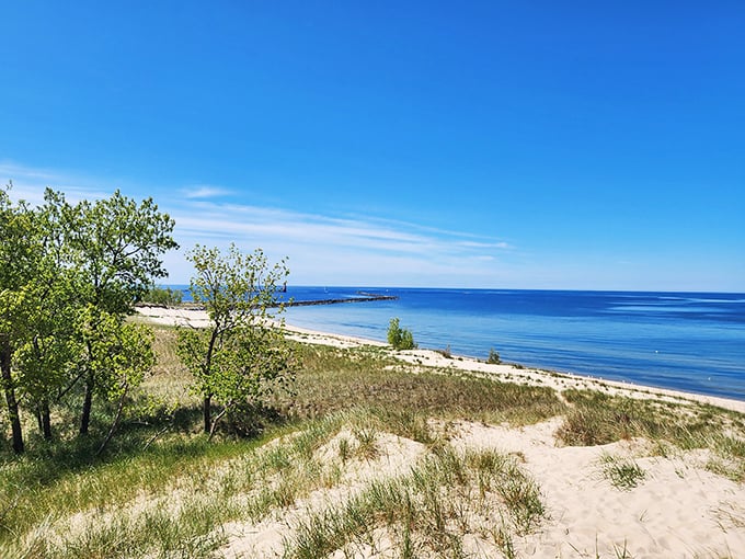 Nature's canvas unfolds: Muskegon's shoreline is a masterpiece of sand, sky, and endless blue. Who needs a beach screensaver when you've got this view?
