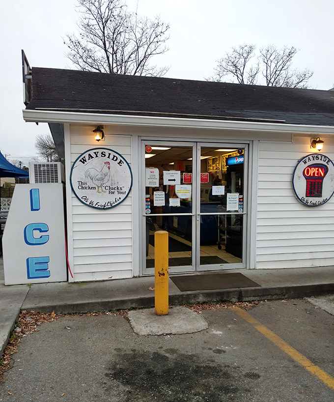 Welcome to chicken paradise! Wayside's unassuming exterior hides a world of crispy, juicy delights that'll make your taste buds do a happy dance.