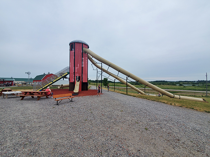 "Slide into farm life! This towering tube slide isn't your average barnyard feature - it's a thrill ride that'll make even city slickers squeal with delight."