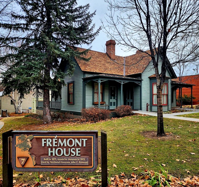 A rose by any other name would smell as sweet, but these blooms have a story to tell. Step into a garden where history and beauty intertwine, creating a sensory journey through time.