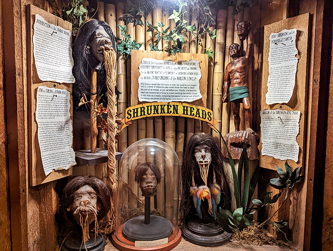 Step right up to the weird and wonderful! This neon sign promises a journey into Austin's strangest corners.