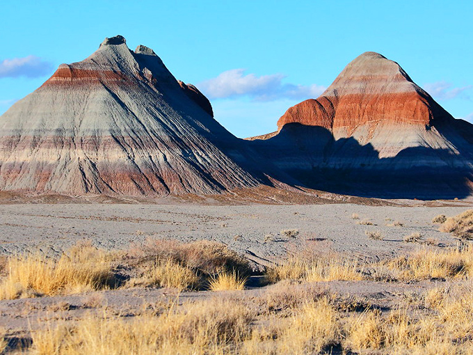 Nature's own rock garden: Petrified logs scattered like ancient breadcrumbs, leading us through a landscape that's part Flintstones, part fine art gallery.