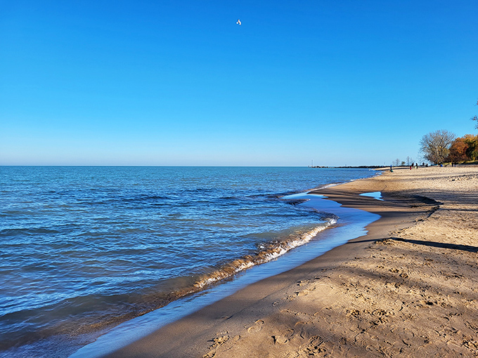 Who needs the Caribbean when you've got this? Lake Michigan's crystal-clear waters and golden sands rival any tropical paradise. Just add sunscreen and a good book!