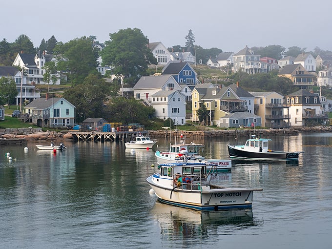Stonington's harbor: where lobster boats dance and colorful houses play hide-and-seek with the shoreline. A postcard-perfect scene that'll make your Instagram followers green with envy.