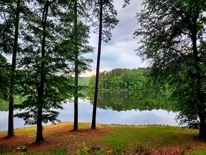 Mirror, mirror on the lake, who's the fairest state park of them all? Lake Lurleen's glassy waters reflect a paradise that would make even Snow White jealous.