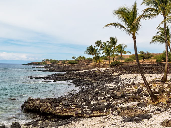 Nature's masterpiece unfolds: Lapakahi's coastline is like a Bob Ross painting come to life, minus the "happy little trees" &ndash; they're all palm trees here!