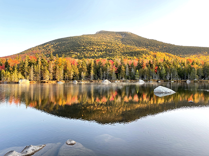 Nature's mirror: Where autumn's palette meets crystal-clear waters, creating a masterpiece that would make Bob Ross weep with joy.